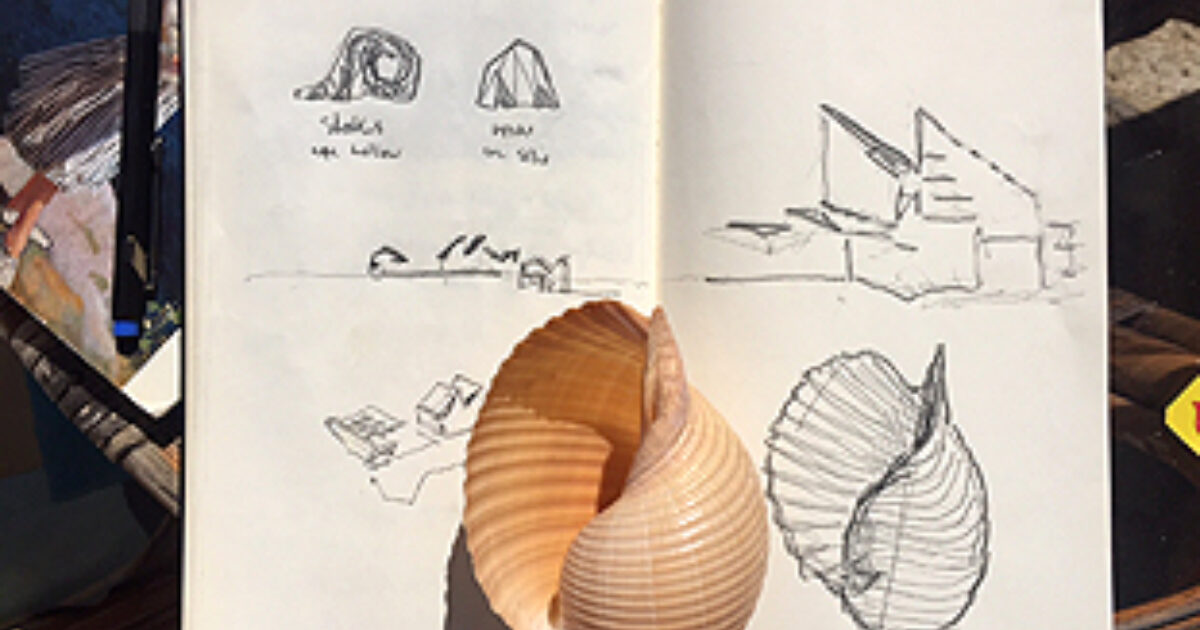 O’Donnell + Tuomey